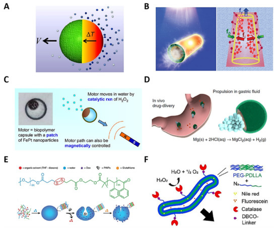 Polymeric Micro/Nanocarriers and Motors for Cargo Transport and ...