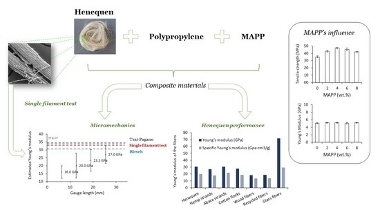Polymers | Free Full-Text | Effective Young’s Modulus Estimation of ...