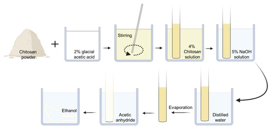 Chitin Nerve Conduits with Three-Dimensional Spheroids of Mesenchymal ...