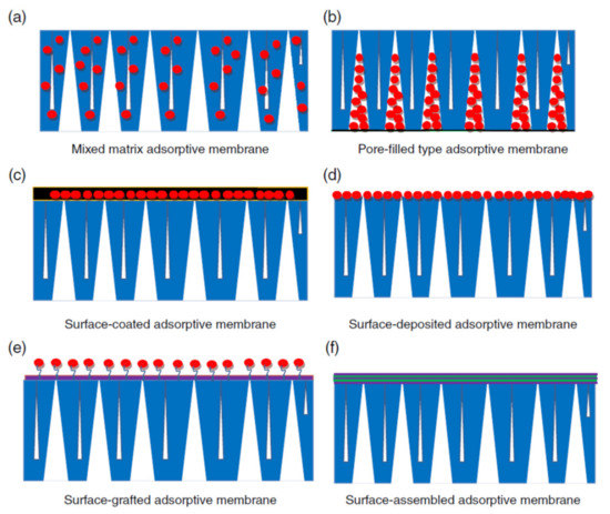 An Overview on Composite Sorbents Based on Polyelectrolytes Used in ...