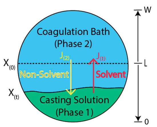 Fabrication of High-Performance CNT Reinforced Polymer Composite for ...