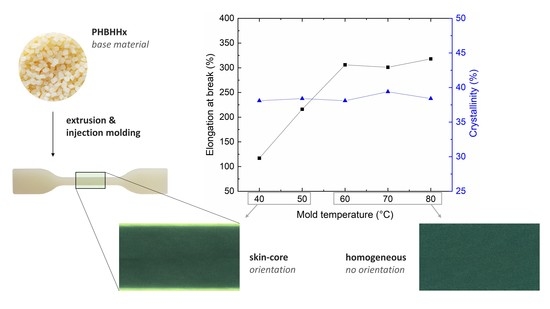 Polymers | Free Full-Text | Extrusion and Injection Molding of Poly(3 ...