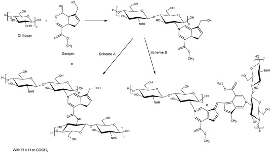 Optimization of Chitosan Properties with the Aim of a Water Resistant ...