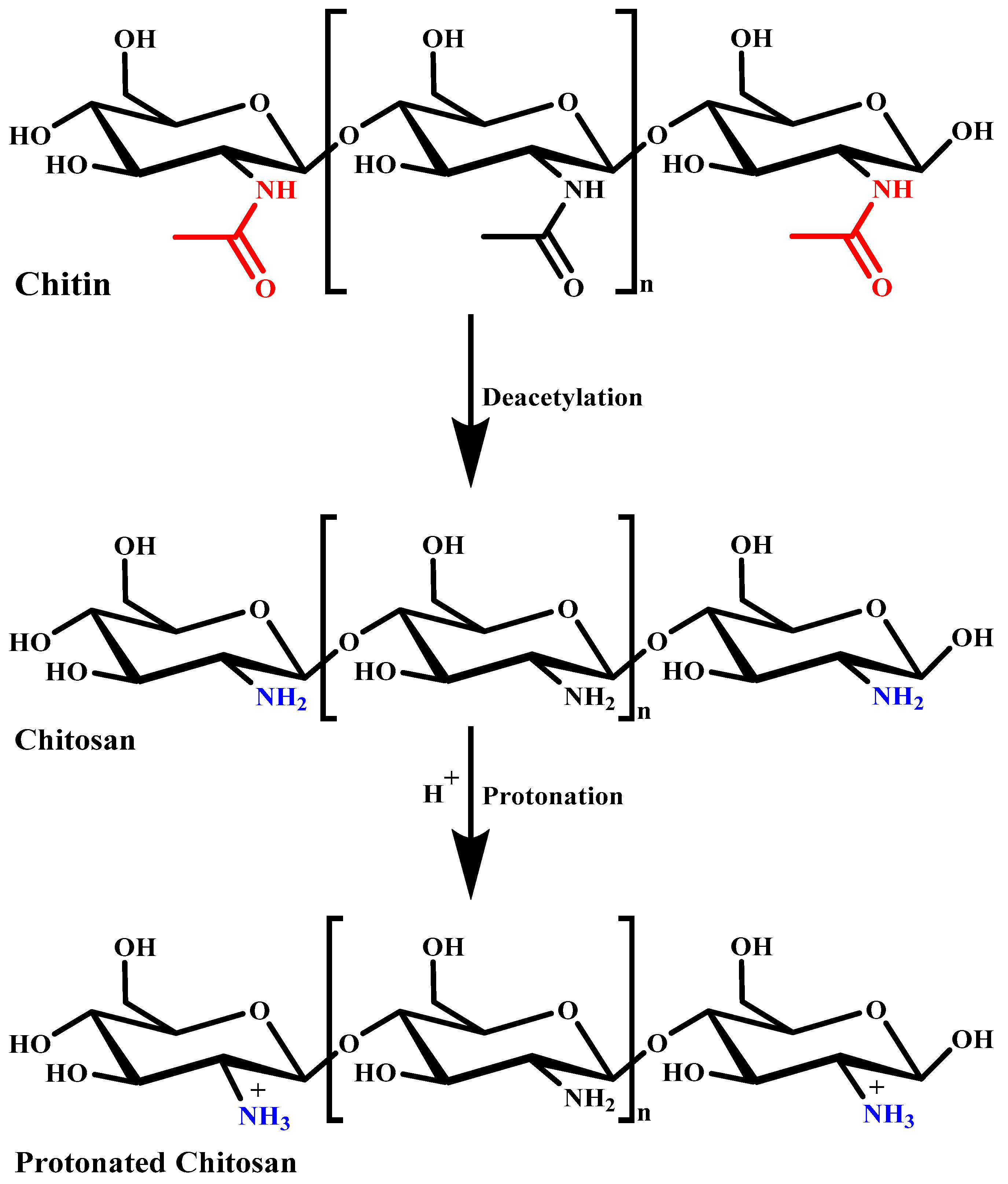 Recent Advancement in Chitosan-Based Nanoparticles for Improved Oral ...