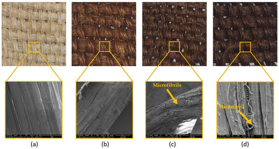 Dynamic Mechanical Analysis of Thermally Aged Fique Fabric-Reinforced ...
