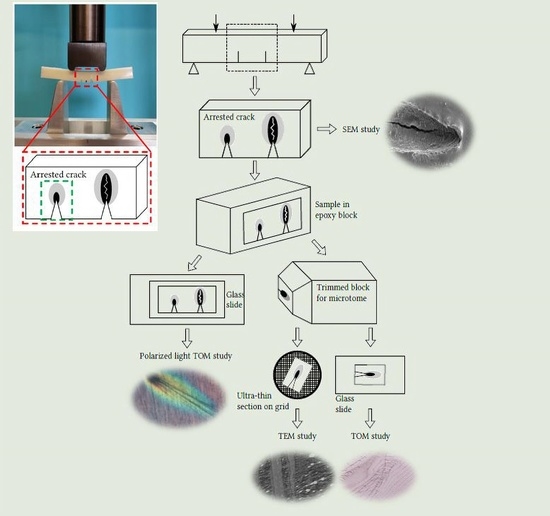 Polymers | Free Full-Text | Analysis of the Damage Mechanism around the ...