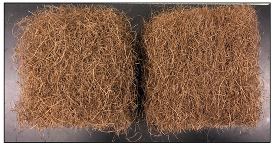 Alkali Concentration and Diluent Effects on Properties of Grape Cane ...