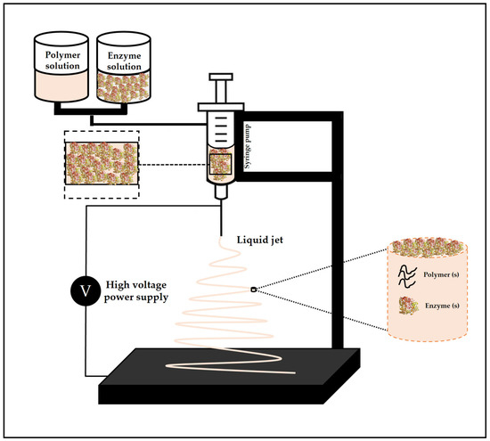 Polymers as Encapsulating Agents and Delivery Vehicles of Enzymes