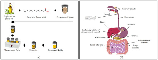 Polymers | Free Full-Text | Polymers as Encapsulating Agents and ...