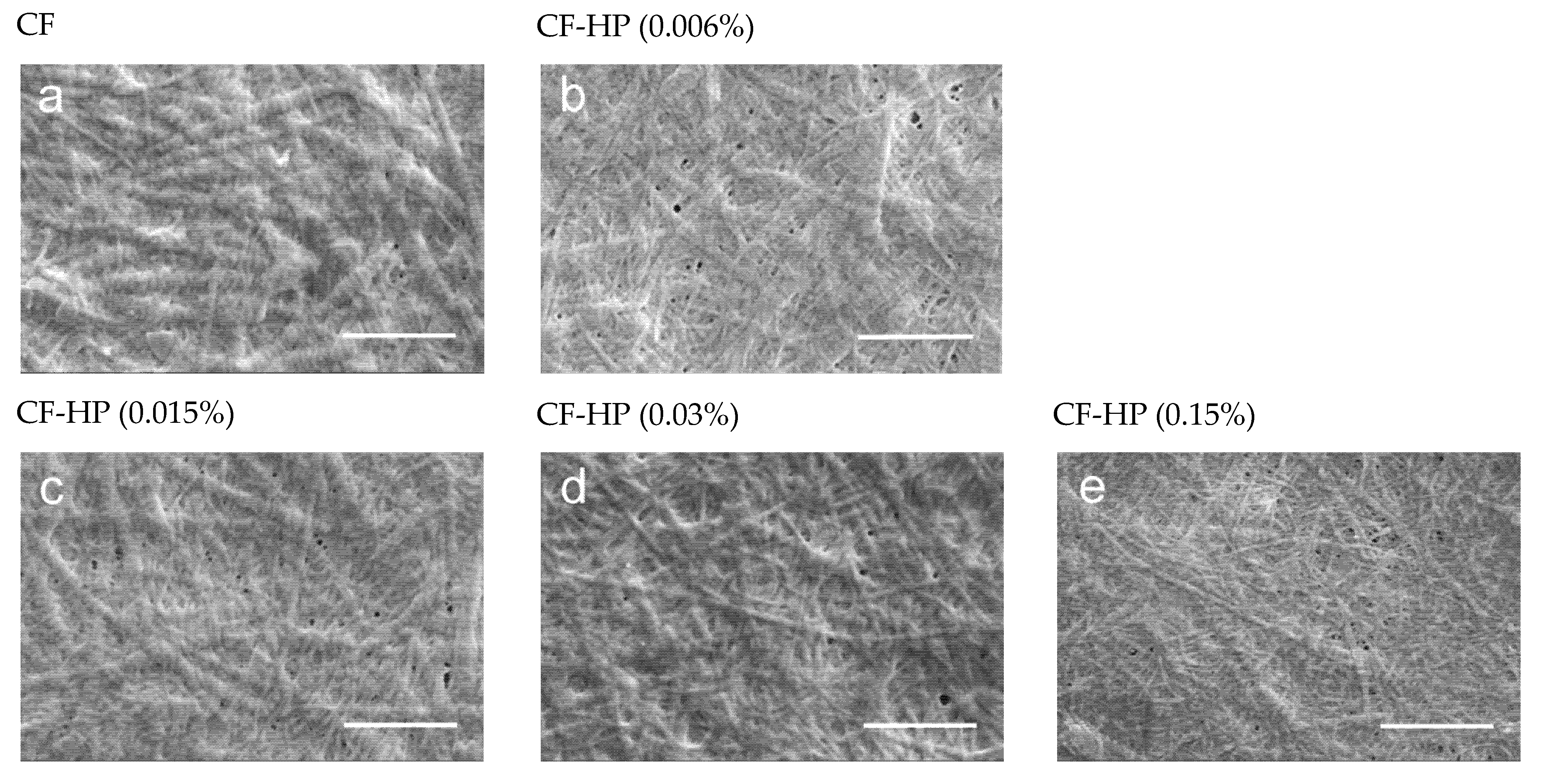 Collagen Scaffolds Treated by Hydrogen Peroxide for Cell Cultivation