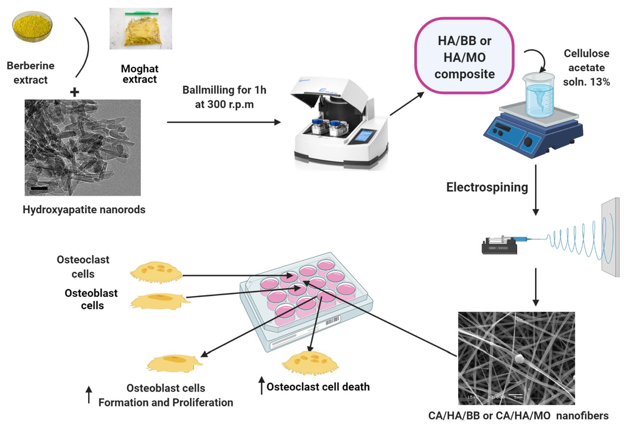 Polymers | Free Full-Text | Cellulose Acetate Nanofibers: Incorporating ...