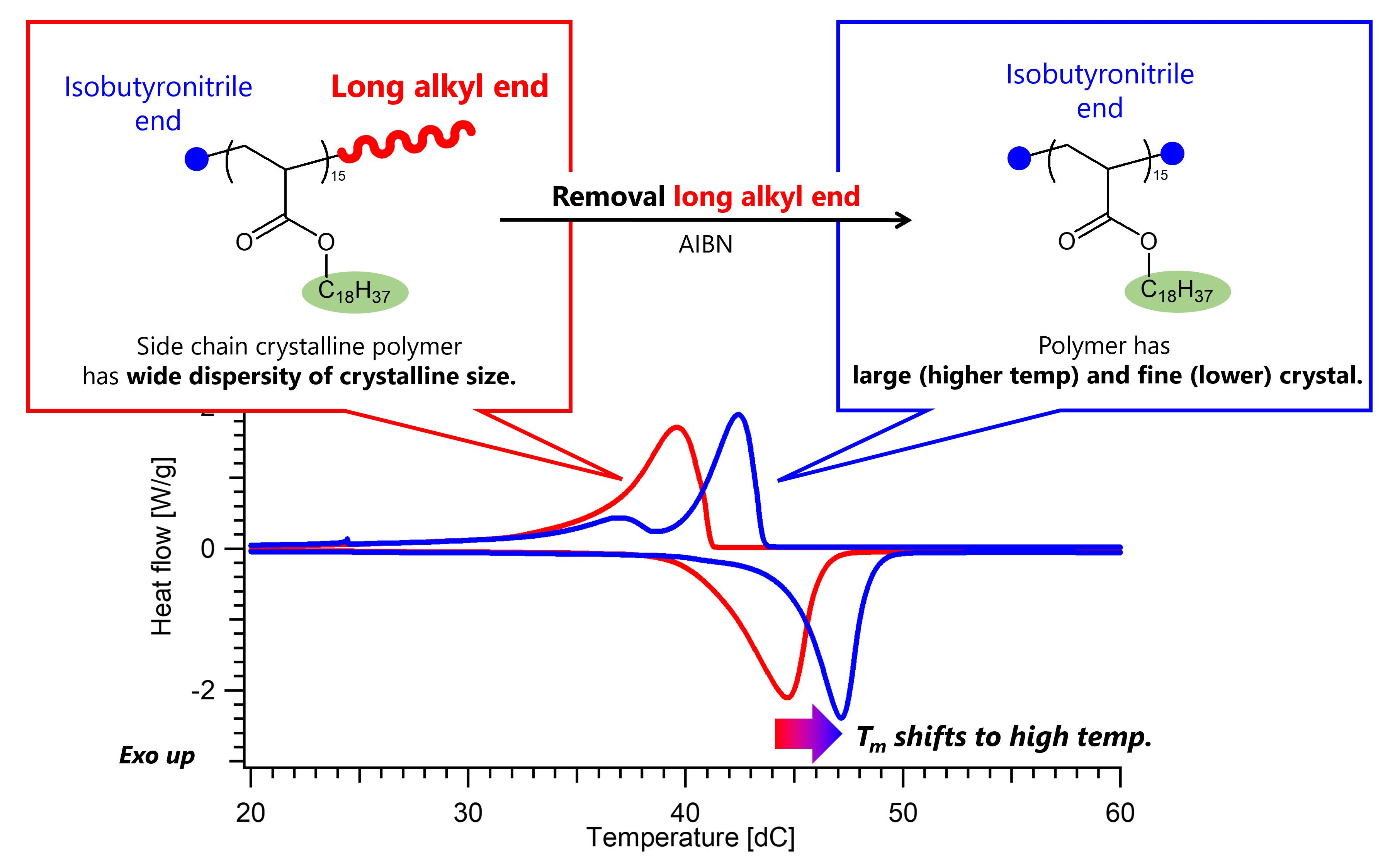 Polymers | Free Full-Text | Removal of Trithiocarbonyl End Group of ...