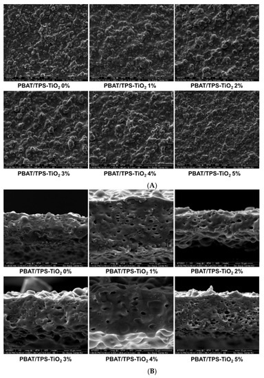 Biodegradable Poly(Butylene Adipate-Co-Terephthalate) and Thermoplastic ...