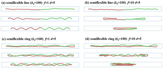 Compression and Stretching of Confined Linear and Ring Polymers by ...