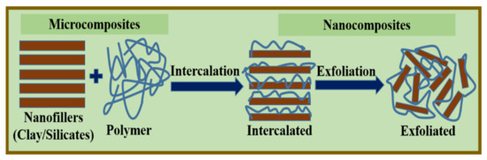 Advances in Functional Biopolymer-Based Nanocomposites for Active Food ...