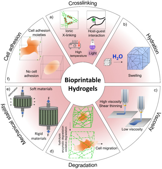 Advanced Hydrogels for Cartilage Tissue Engineering: Recent Progress ...