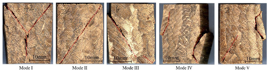 Compressive Failure Mechanism of Structural Bamboo Scrimber