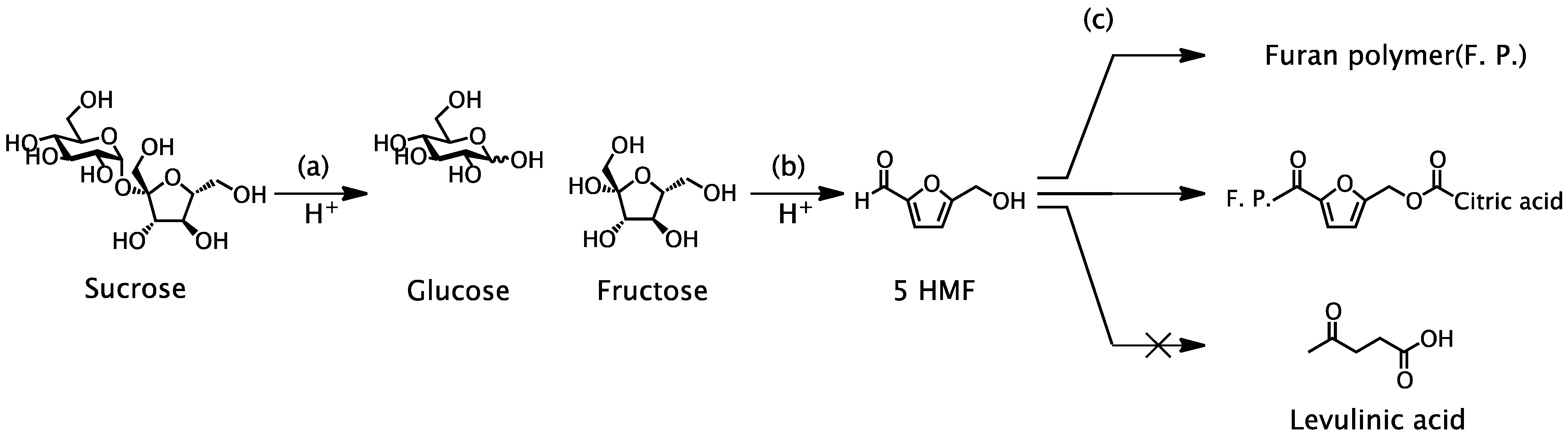 Chemical Structures of Adhesive and Interphase Parts in Sucrose/Citric ...