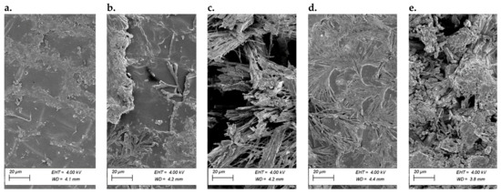 Hydrogel Alginate Seed Coating as an Innovative Method for Delivering ...