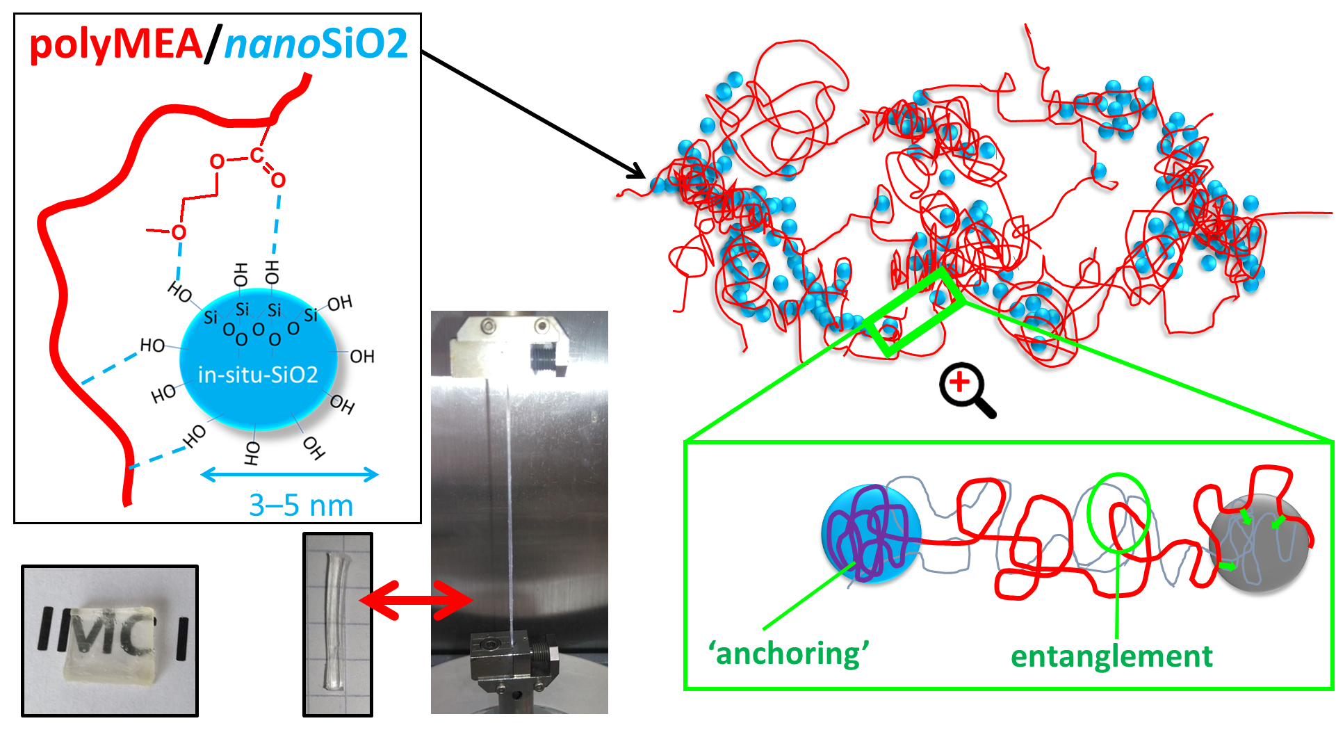 Polymers | Free Full-Text | Novel Tough and Transparent Ultra ...