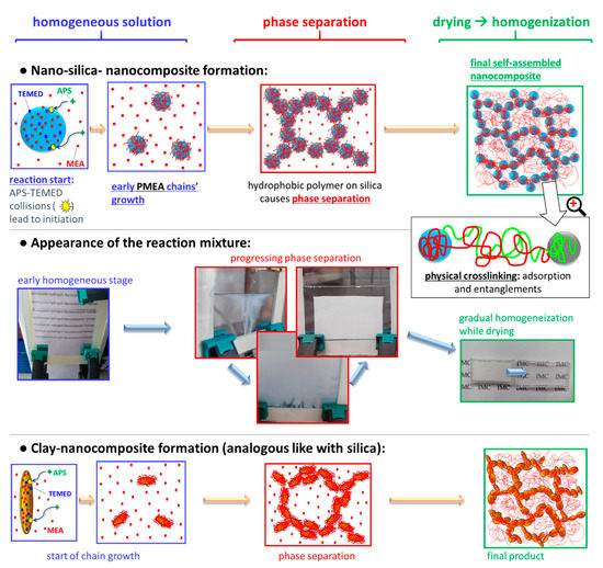 Polymers | Free Full-Text | Novel Tough and Transparent Ultra ...