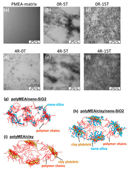 Polymers | Free Full-Text | Novel Tough and Transparent Ultra ...