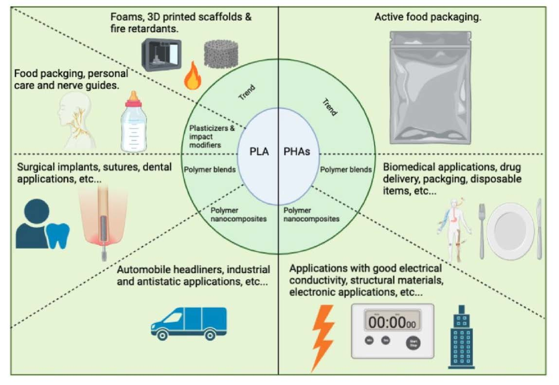 Polymers | Free Full-Text | Expanding Poly(lactic acid) (PLA) and ...