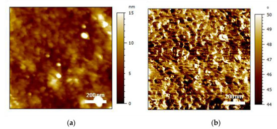 Polymers | Special Issue : Adhesive Polymers as Efficient Binders for ...