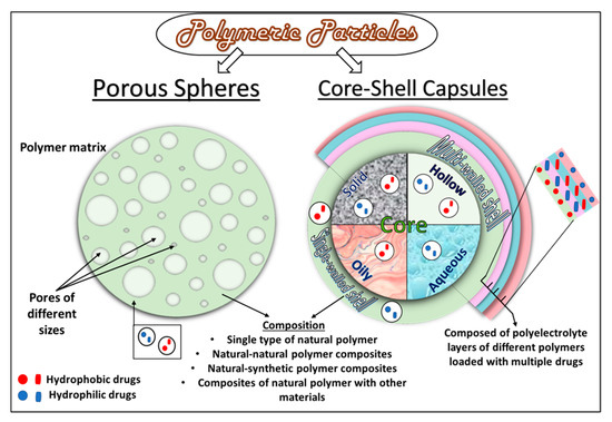 Designing Natural Polymer-Based Capsules and Spheres for Biomedical ...