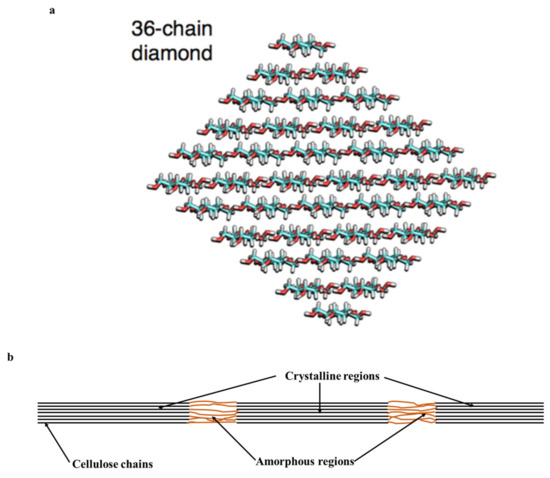 Utilization of Cellulose to Its Full Potential: A Review on Cellulose ...