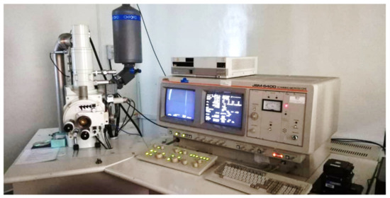 Polymers | Free Full-Text | Rice Husk Ash-Based Geopolymer Binder ...