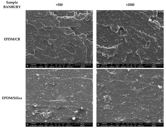 Lab-Scale Twin-Screw Micro-Compounders as a New Rubber-Mixing Tool: ‘A ...