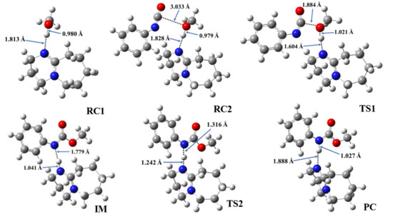 Computational Study of Catalytic Urethane Formation