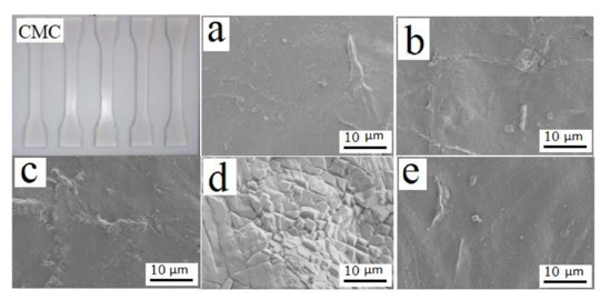 Effects of Raw Material Source on the Properties of CMC Composite Films