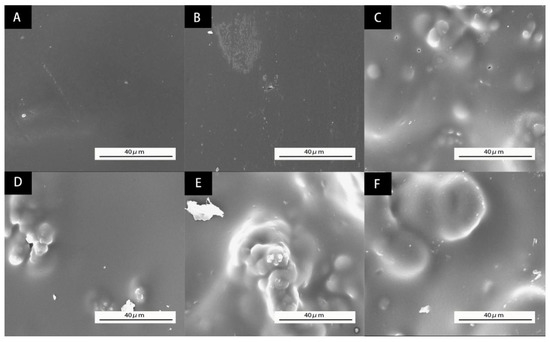 Polymers | Special Issue : Functional Polymer Coatings II