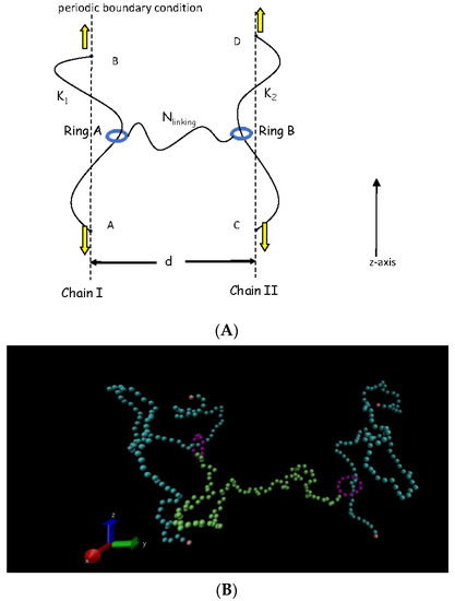 Sliding Dynamics of Ring Chains on Two Asymmetric/Symmetric Chains in a ...