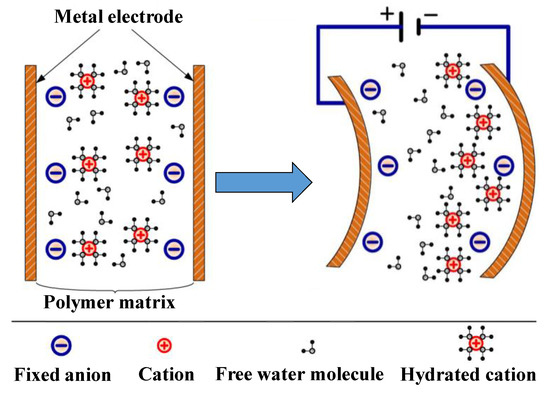 Polymers | Free Full-Text | Performance Enhancement of Ionic Polymer-Metal Composite Actuators ...