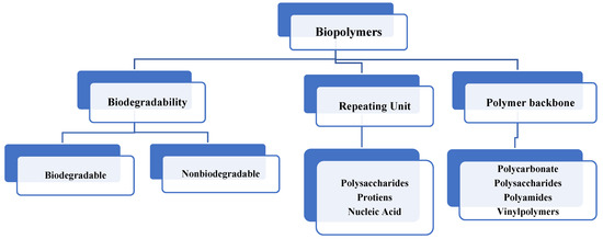 Polymers | Free Full-Text | A Review of Biopolymers’ Utility as ...