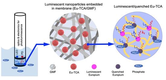 Polymers | Free Full-Text | Reusable and pH-Stable Luminescent Sensors ...