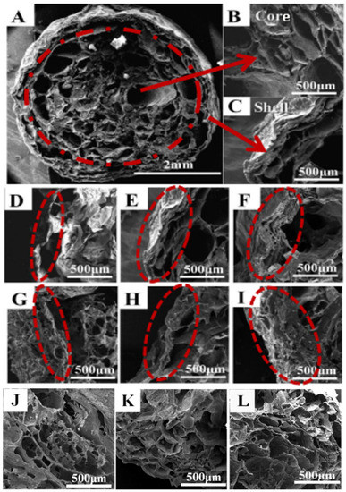 Preparation of PVA–CS/SA–Ca2+ Hydrogel with Core–Shell Structure
