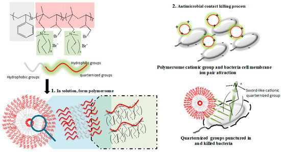Quaternized Amphiphilic Block Copolymers as Antimicrobial Agents