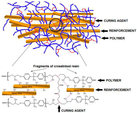 Natural Fillers as Potential Modifying Agents for Epoxy Composition: A ...