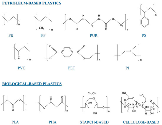 Biotechnological Aspects and Mathematical Modeling of the ...