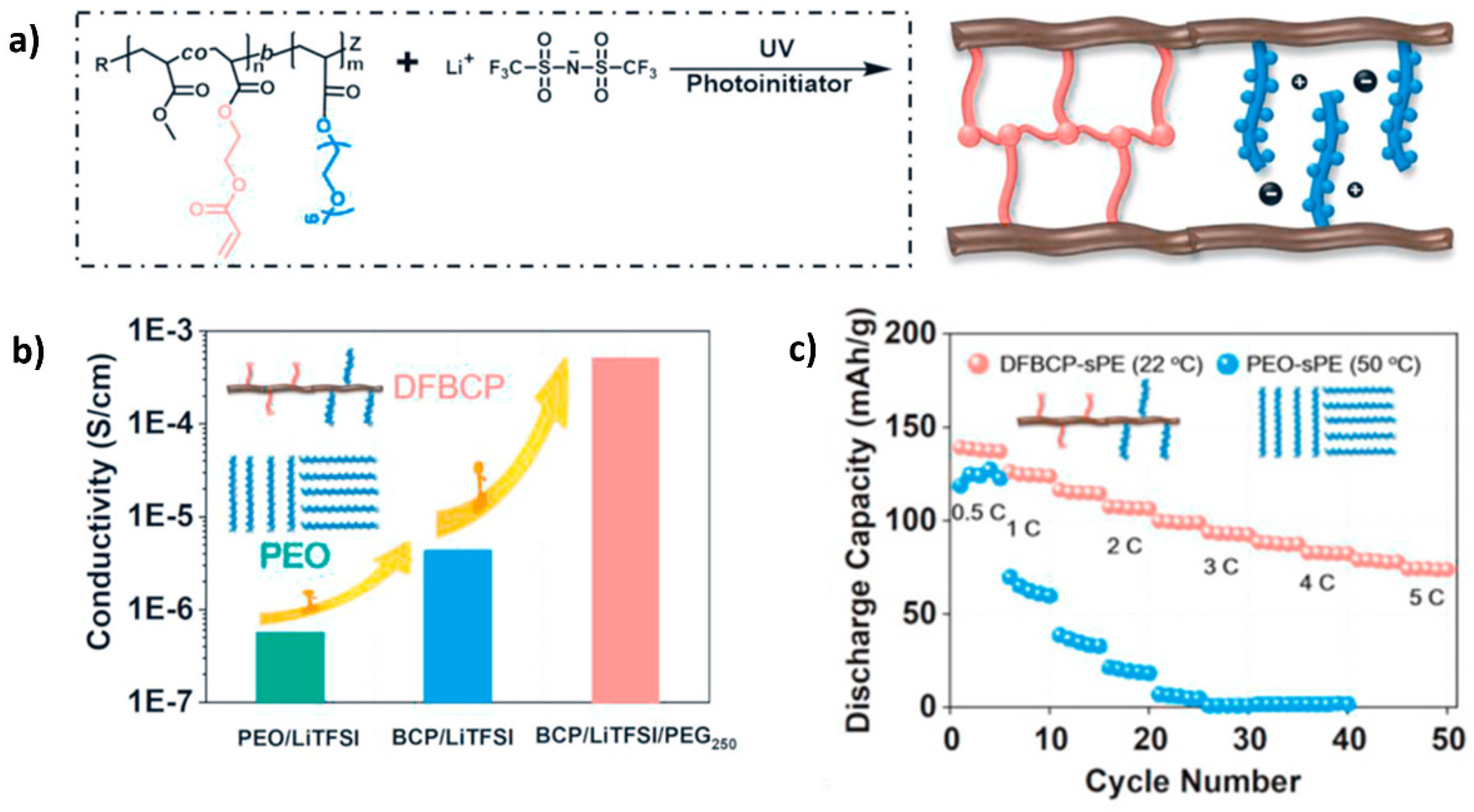 Polymers | Free Full-Text | Designing Versatile Polymers for Lithium ...