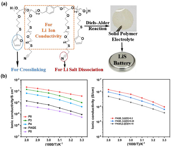 Polymers | Free Full-Text | Designing Versatile Polymers for Lithium ...
