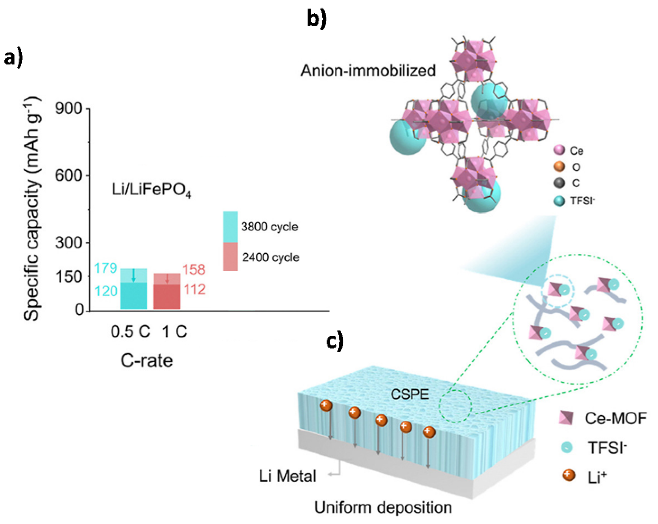 Polymers | Free Full-Text | Designing Versatile Polymers for Lithium ...