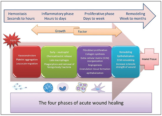 An Up-to-Date Review of Biomaterials Application in Wound Management