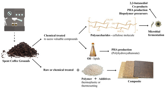 Polymers | Free Full-Text | Valorization of Spent Coffee Grounds as ...