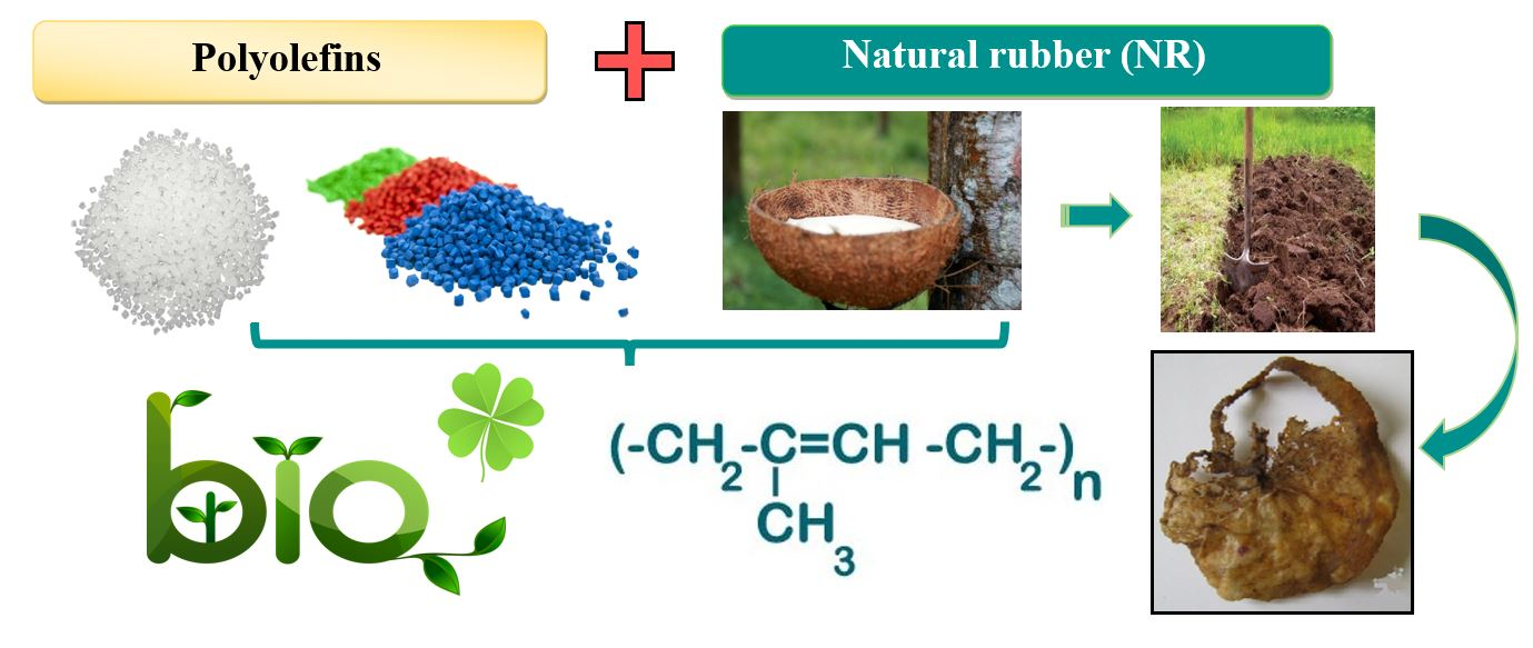 Polymers | Free Full-Text | Biodegradability of Polyolefin-Based ...