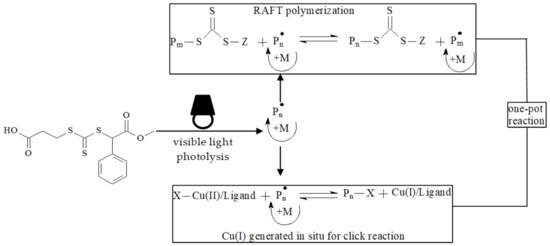 RAFT-Based Polymers for Click Reactions